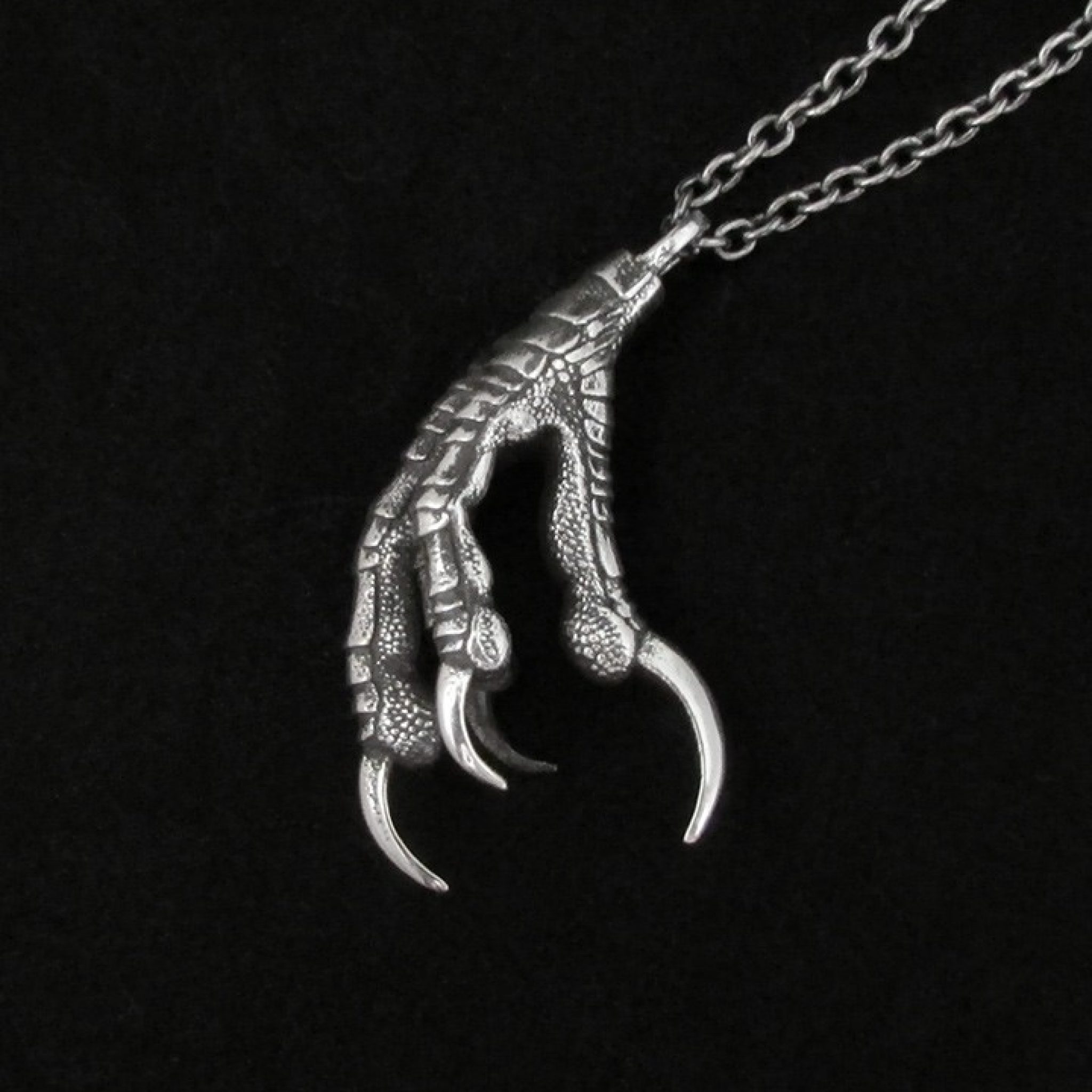 Small Raven Claw Talisman | Dragon Claw Necklace by RavynEdge