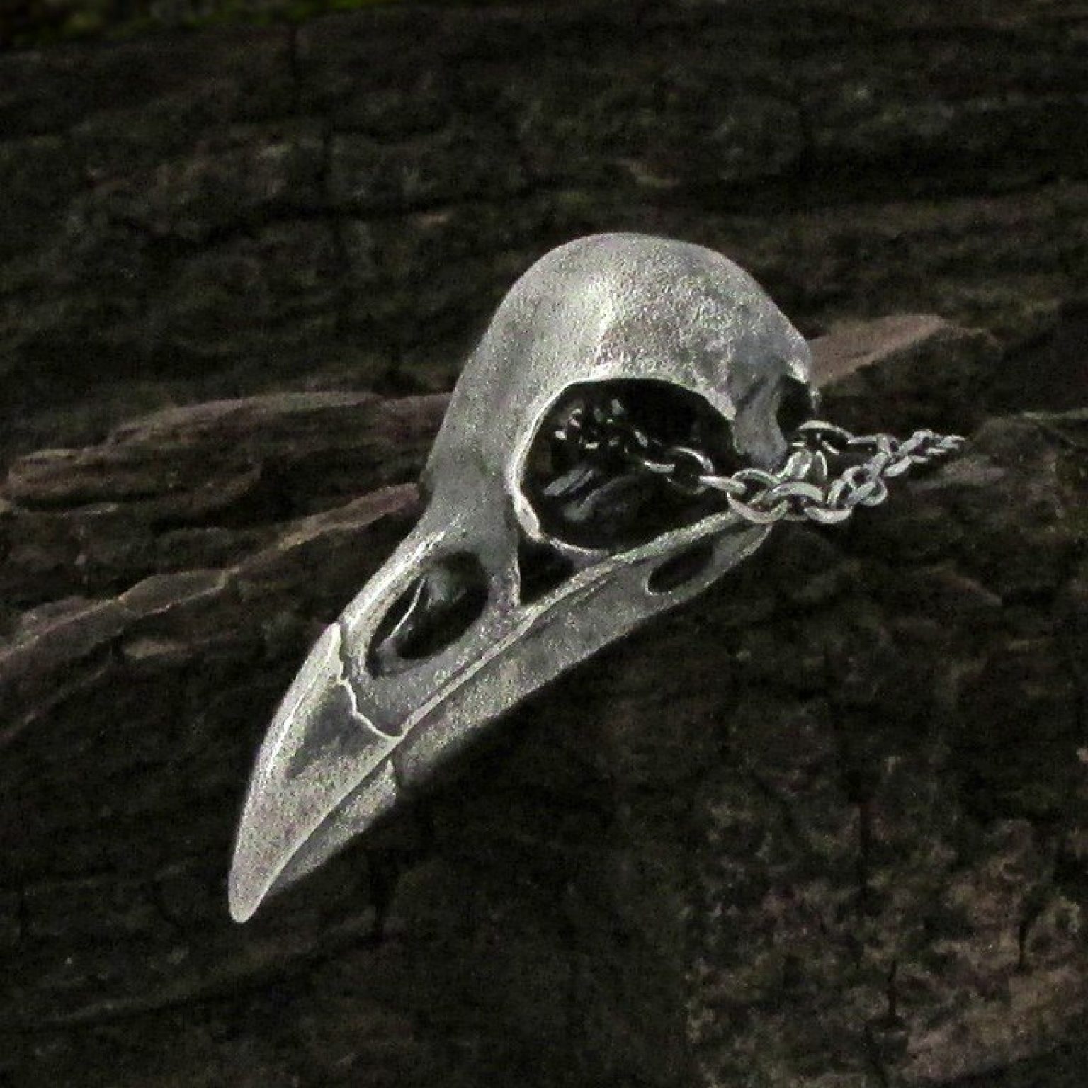Raven Skull Necklace - Medium | Gothic Bird Skull Pendant by RavynEdge
